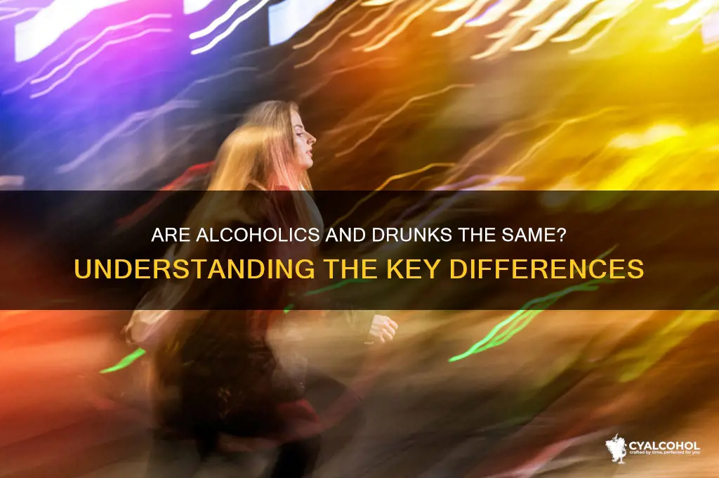 Are Alcoholics And Drunks The Same? Understanding The Key Differences ...
