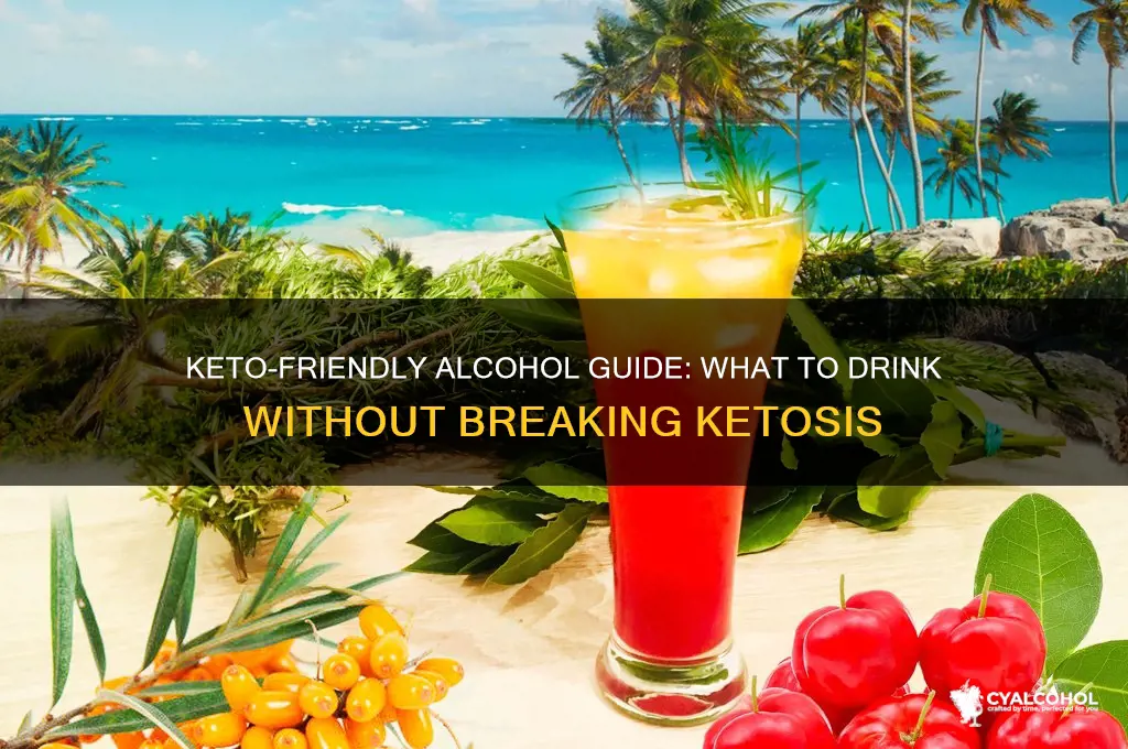 Keto-Friendly Alcohol Guide: What To Drink Without Breaking Ketosis ...
