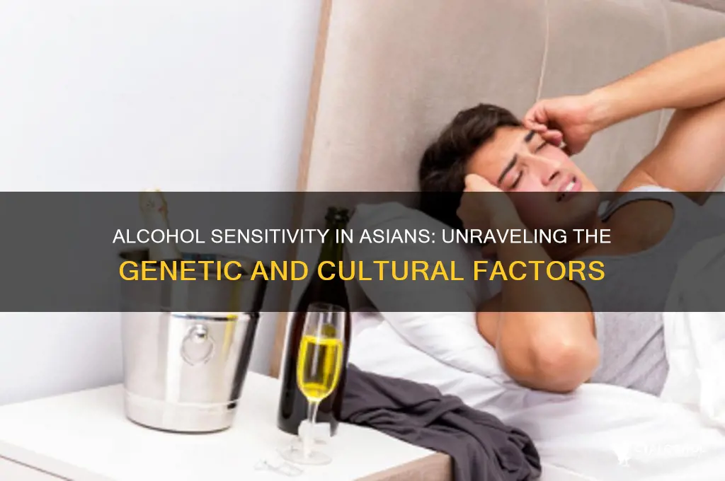 Alcohol Sensitivity In Asians: Unraveling The Genetic And Cultural ...