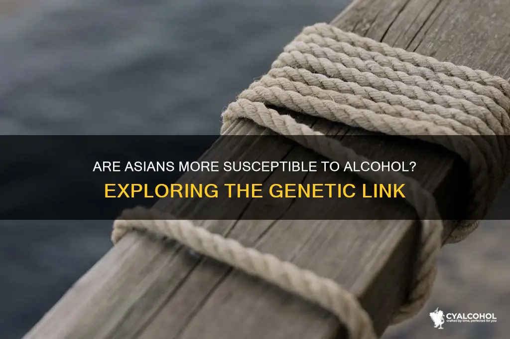 Are Asians More Susceptible To Alcohol? Exploring The Genetic Link ...