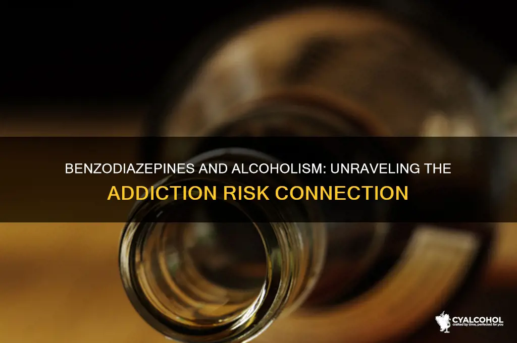 Benzodiazepines And Alcoholism: Unraveling The Addiction Risk ...