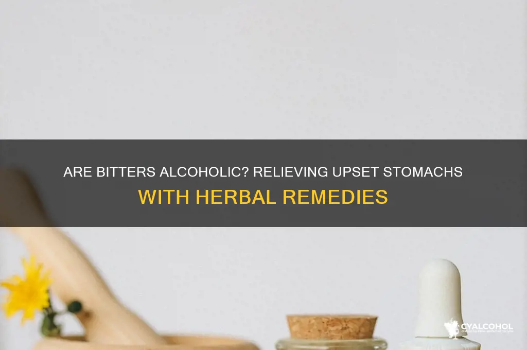 Are Bitters Alcoholic? Relieving Upset Stomachs With Herbal Remedies ...