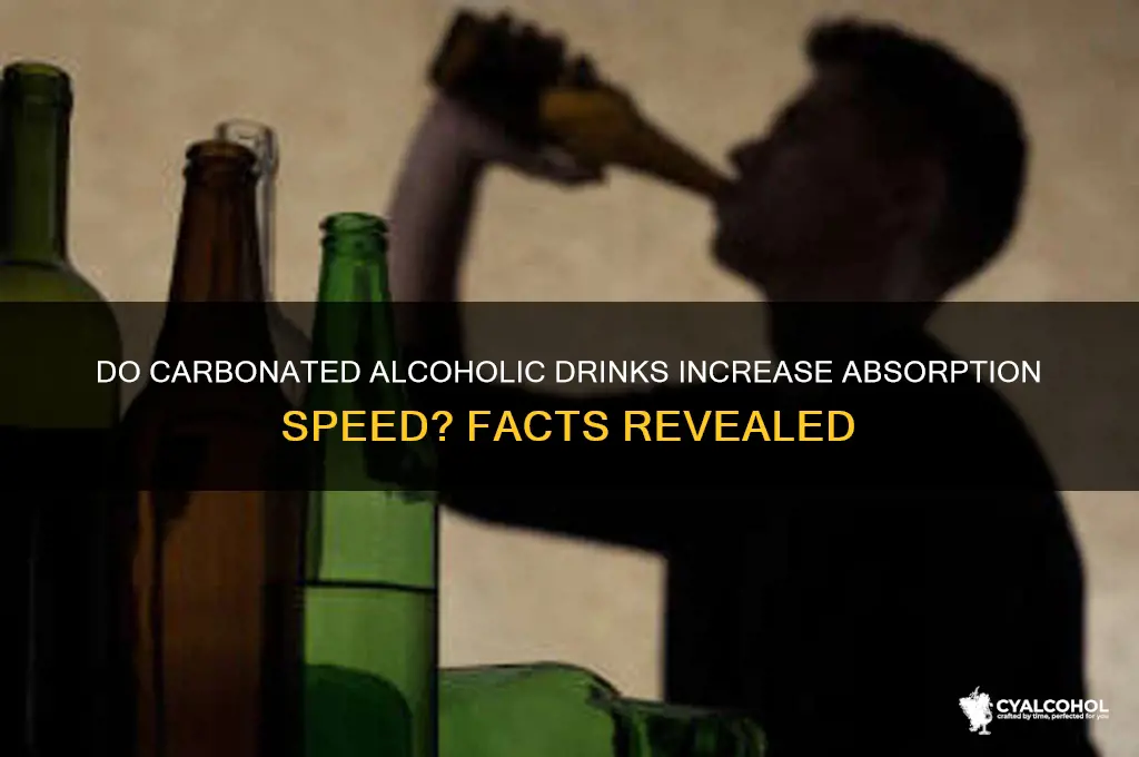 Do Carbonated Alcoholic Drinks Increase Absorption Speed? Facts ...