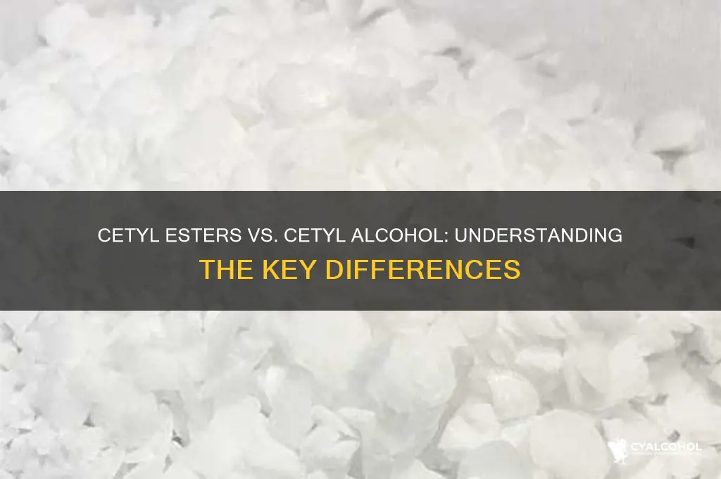Cetyl Esters Vs. Cetyl Alcohol: Understanding The Key Differences ...