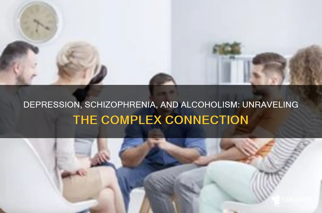 Depression, Schizophrenia, And Alcoholism: Unraveling The Complex ...