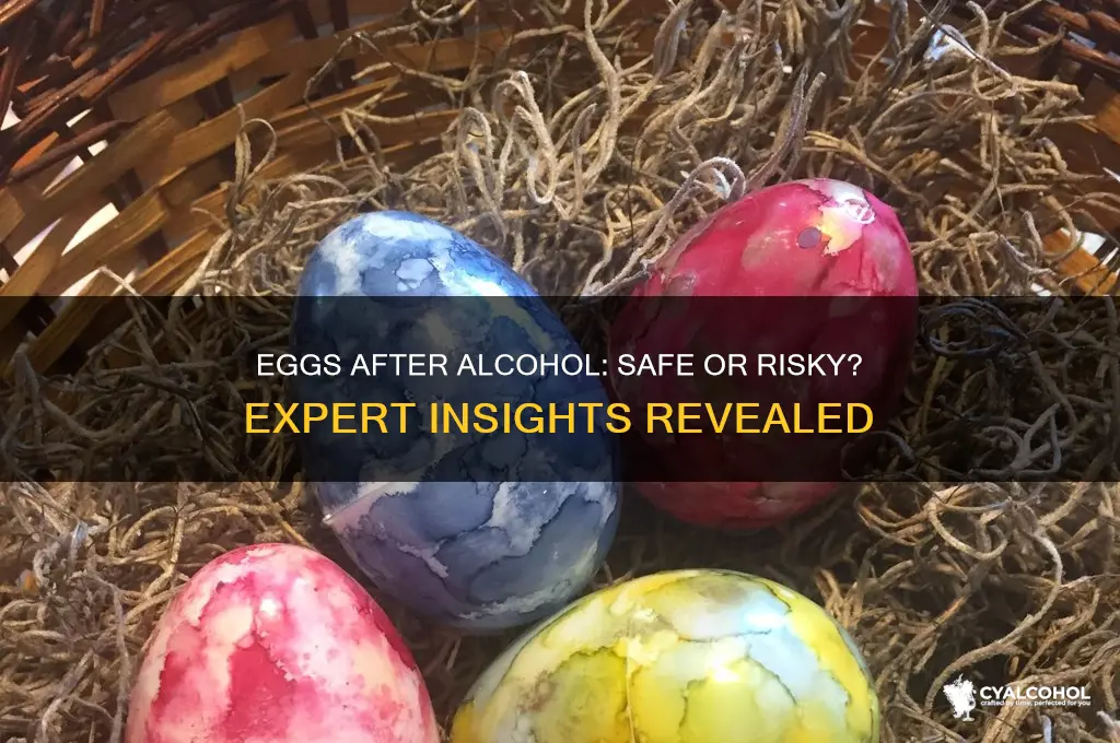 Eggs After Alcohol: Safe Or Risky? Expert Insights Revealed | CyAlcohol
