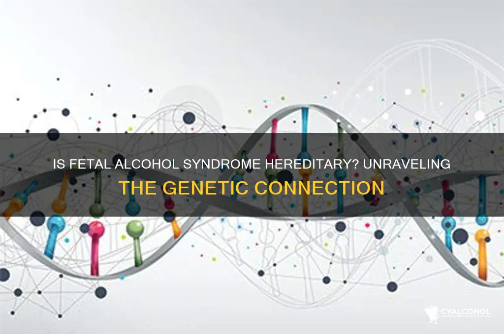 Is Fetal Alcohol Syndrome Hereditary? Unraveling The Genetic Connection ...