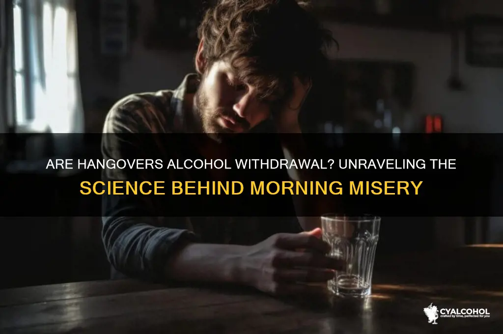 Are Hangovers Alcohol Withdrawal? Unraveling The Science Behind Morning ...