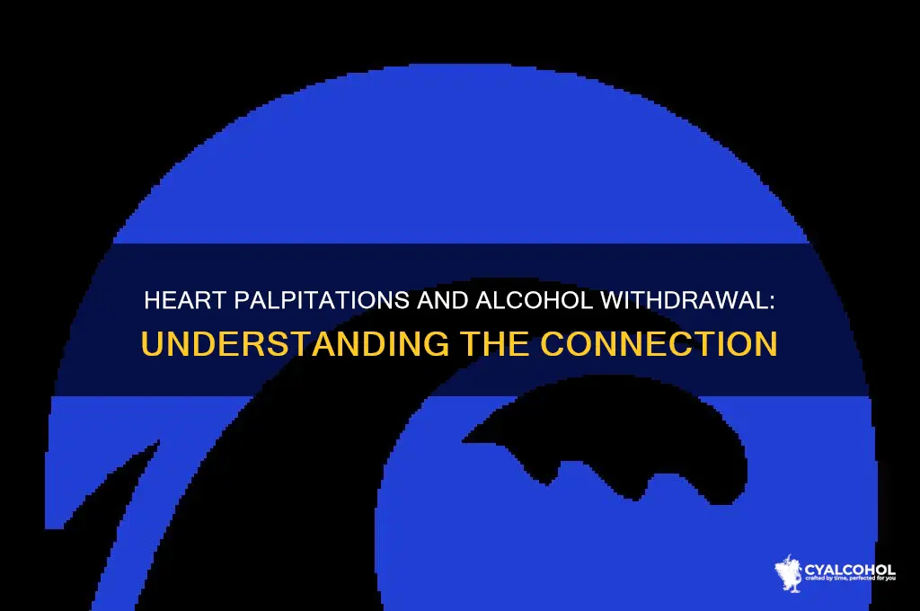 Heart Palpitations And Alcohol Withdrawal: Understanding The Connection ...