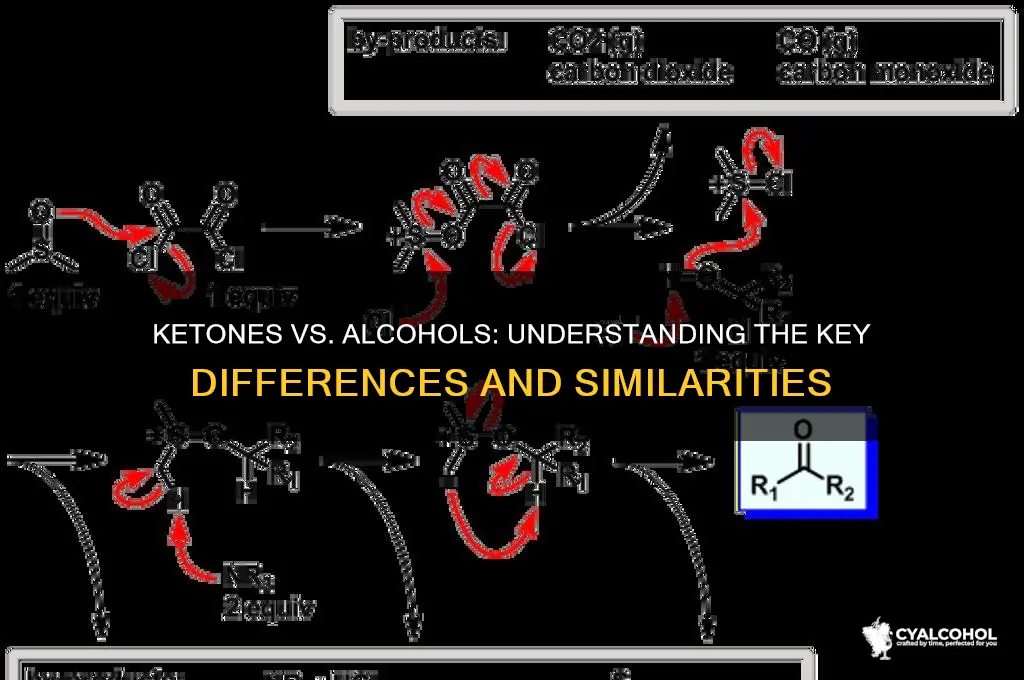 Ketones Vs. Alcohols: Understanding The Key Differences And ...