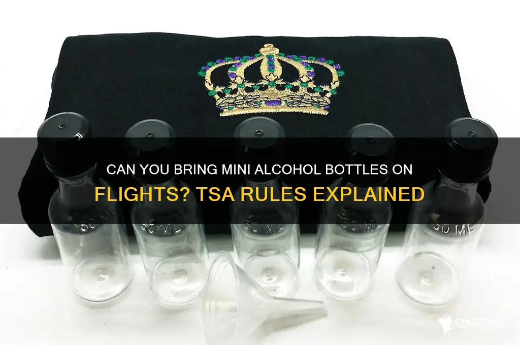 Can You Bring Mini Alcohol Bottles On Flights? Tsa Rules Explained ...
