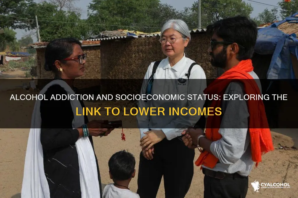 Alcohol Addiction And Socioeconomic Status: Exploring The Link To Lower ...