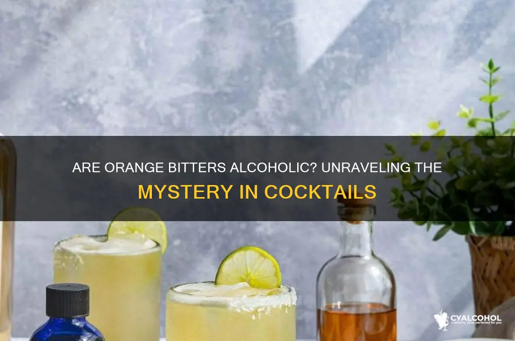 Are Orange Bitters Alcoholic? Unraveling The Mystery In Cocktails ...