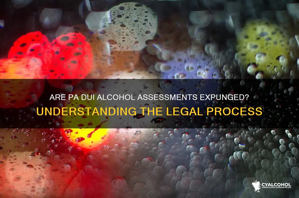 Are Pa Dui Alcohol Assessments Expunged? Understanding The Legal ...