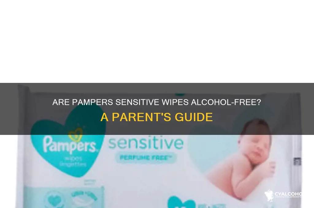 Are Pampers Sensitive Wipes Alcohol-Free? A Parent's Guide | CyAlcohol