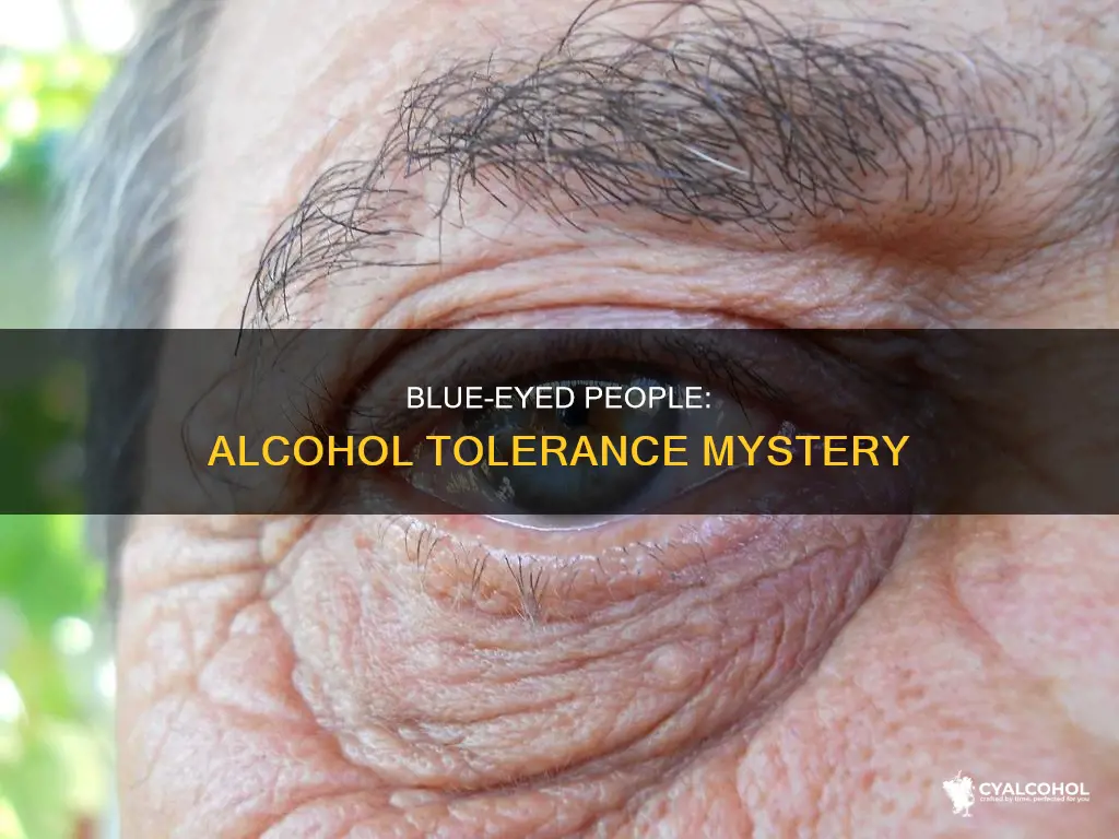 Blue-Eyed People: Alcohol Tolerance Mystery | CyAlcohol