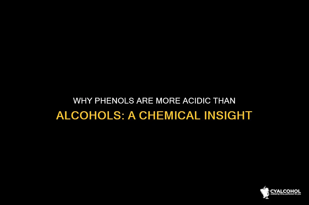 Why Phenols Are More Acidic Than Alcohols: A Chemical Insight | CyAlcohol