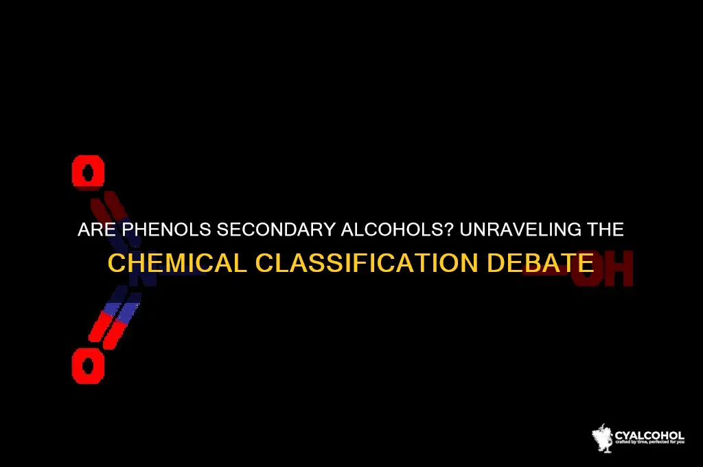 Are Phenols Secondary Alcohols? Unraveling The Chemical Classification ...