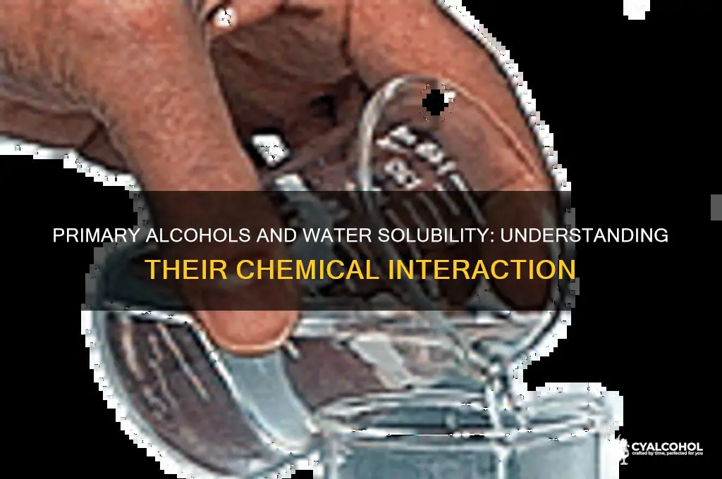 Primary Alcohols And Water Solubility: Understanding Their Chemical ...
