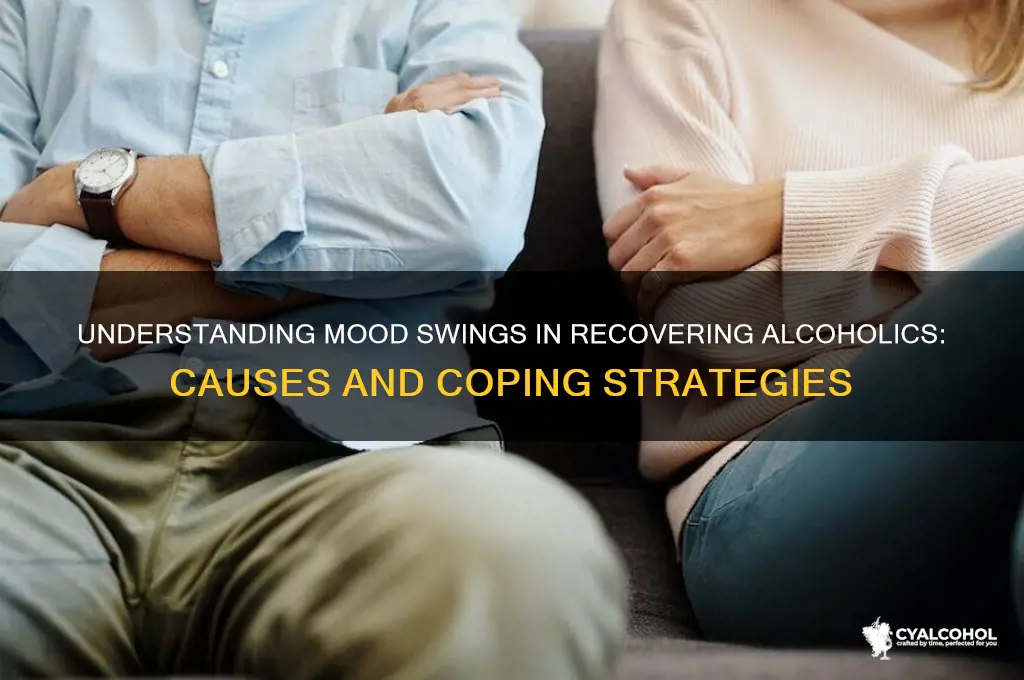Understanding Mood Swings In Recovering Alcoholics: Causes And Coping ...