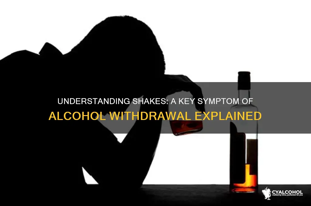 Understanding Shakes: A Key Symptom Of Alcohol Withdrawal Explained ...