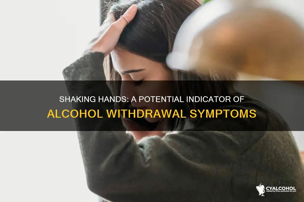 Shaking Hands: A Potential Indicator Of Alcohol Withdrawal Symptoms ...