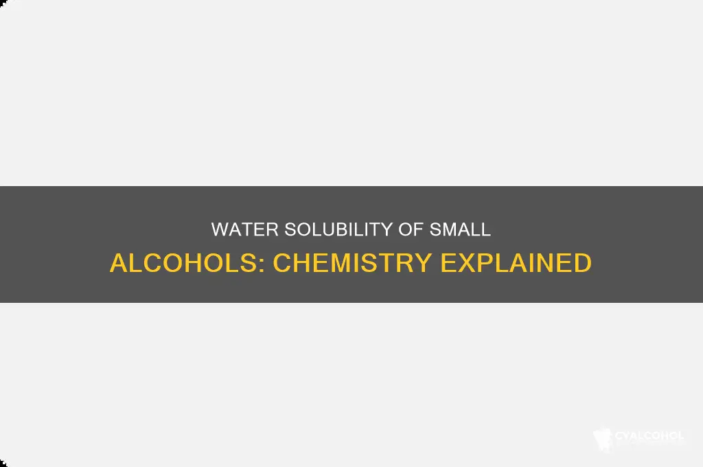 Water Solubility Of Small Alcohols: Chemistry Explained | CyAlcohol