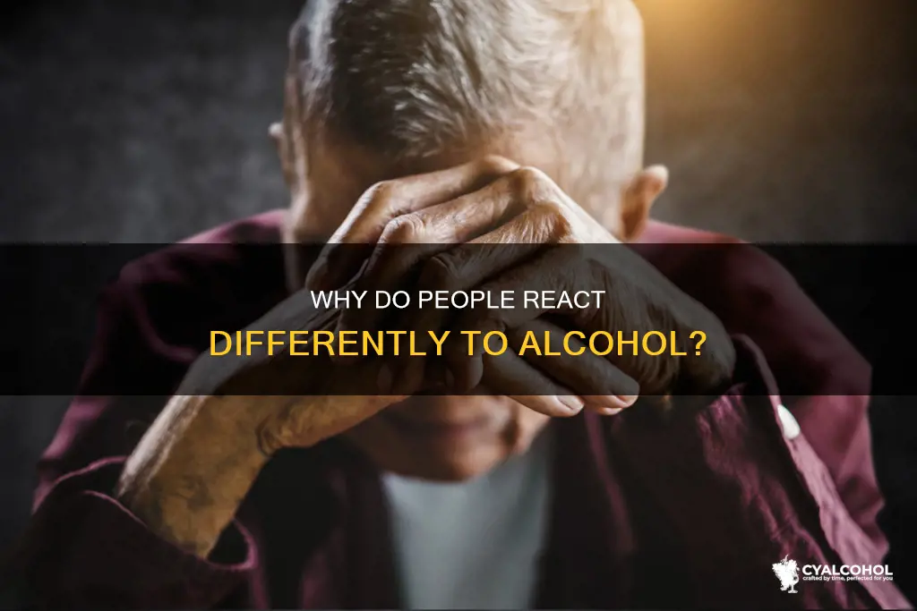 Why Do People React Differently To Alcohol? | CyAlcohol