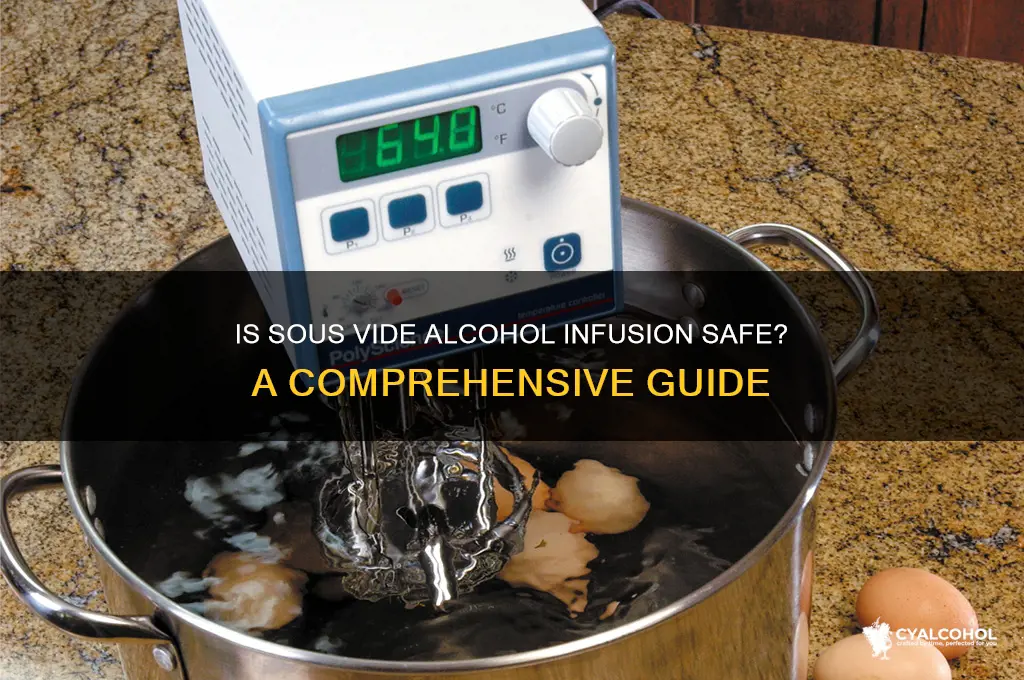Is Sous Vide Alcohol Infusion Safe? A Comprehensive Guide | CyAlcohol