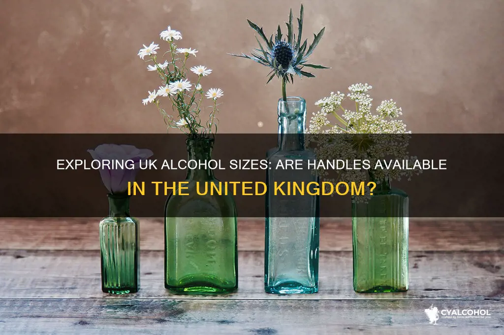 Exploring Uk Alcohol Sizes: Are Handles Available In The United Kingdom ...