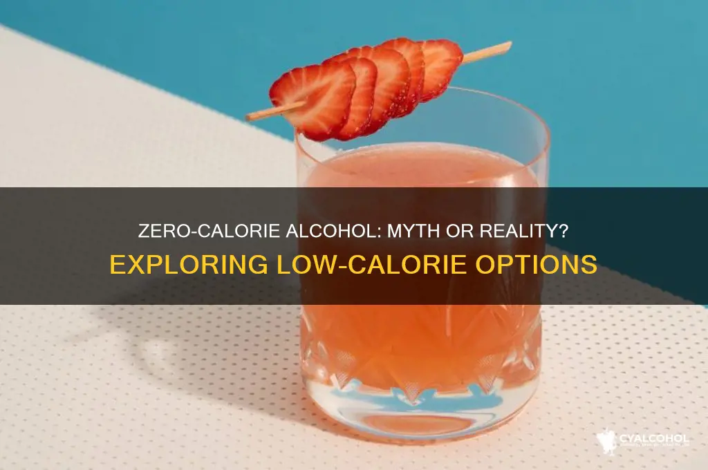 Zero-Calorie Alcohol: Myth Or Reality? Exploring Low-Calorie Options ...