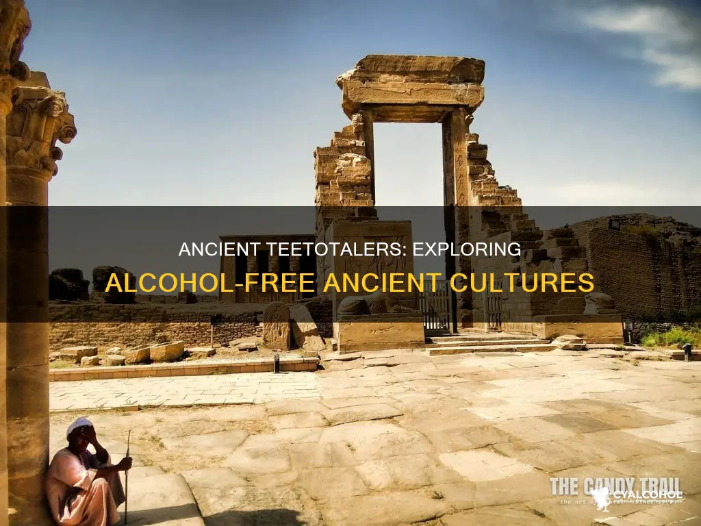 Ancient Teetotalers: Exploring Alcohol-Free Ancient Cultures | CyAlcohol