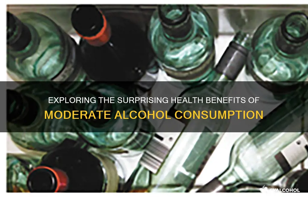 Exploring The Surprising Health Benefits Of Moderate Alcohol ...