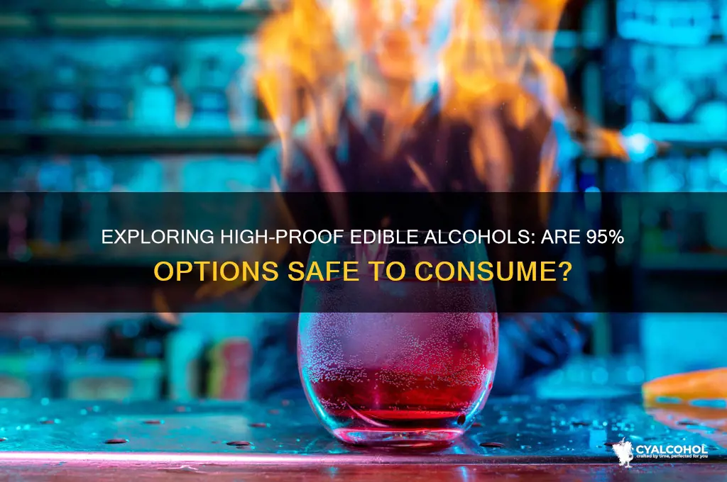Exploring High-Proof Edible Alcohols: Are 95% Options Safe To Consume ...