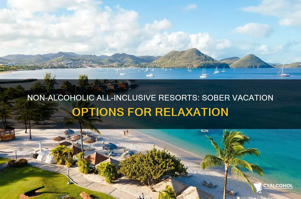 Non-Alcoholic All-Inclusive Resorts: Sober Vacation Options For ...