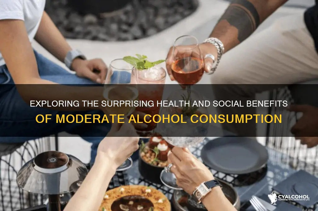 Exploring The Surprising Health And Social Benefits Of Moderate Alcohol ...