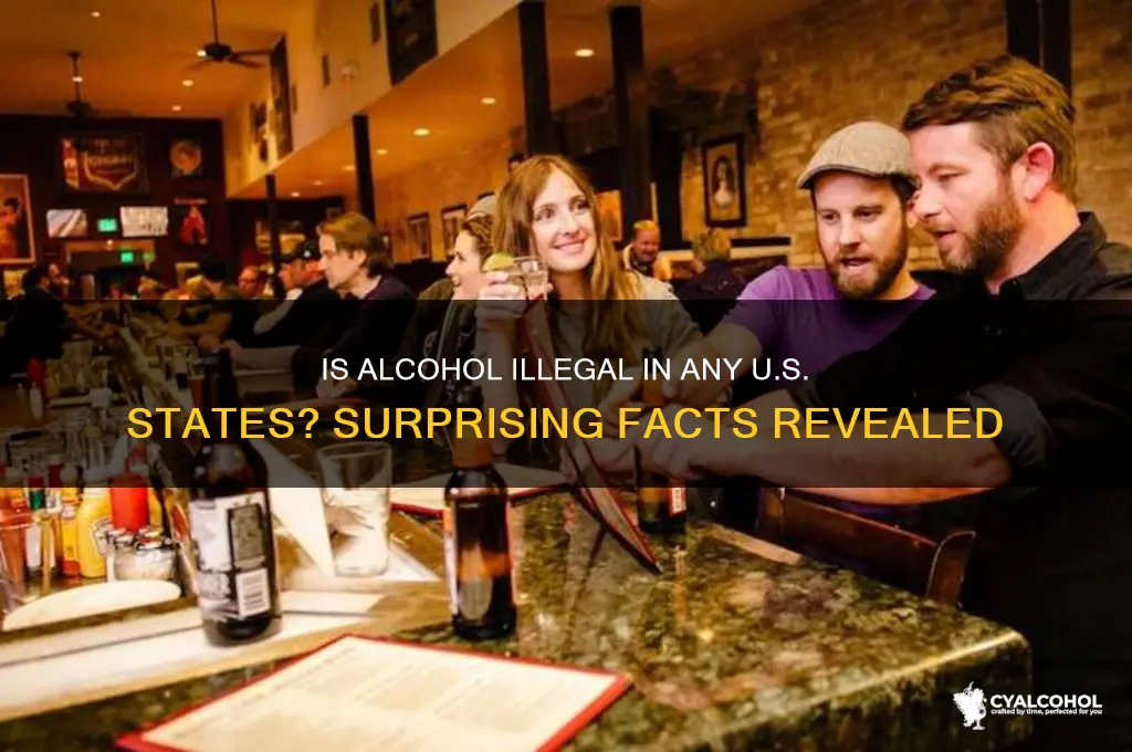 Is Alcohol Illegal In Any U.S. States? Surprising Facts Revealed ...