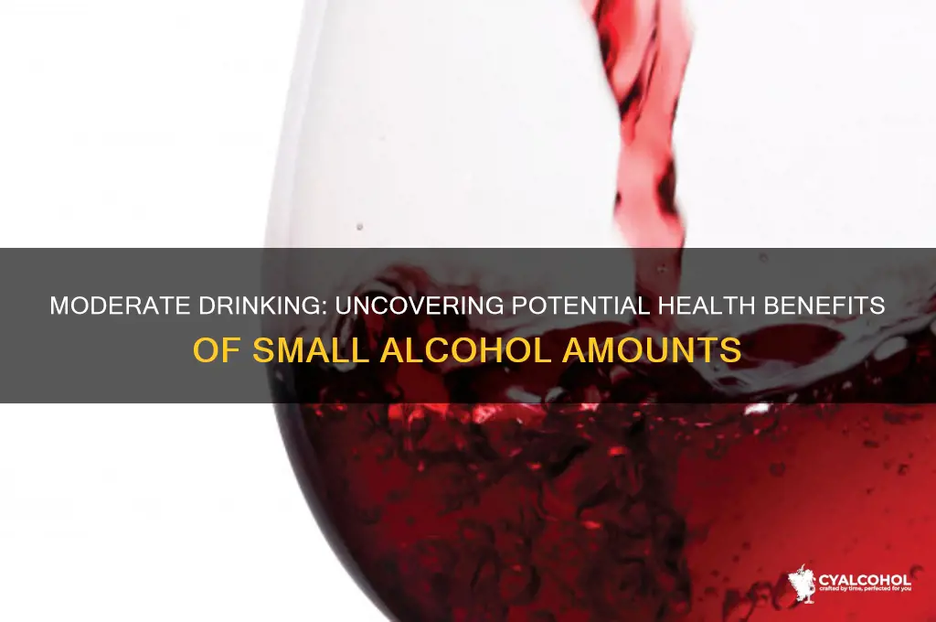 Moderate Drinking: Uncovering Potential Health Benefits Of Small ...