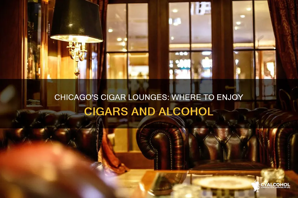 Chicago's Cigar Lounges: Where To Enjoy Cigars And Alcohol | CyAlcohol