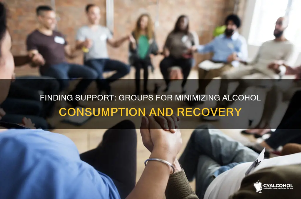 Finding Support: Groups For Minimizing Alcohol Consumption And Recovery ...