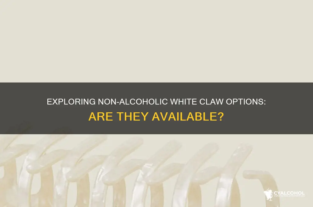 Exploring Non-Alcoholic White Claw Options: Are They Available? | CyAlcohol