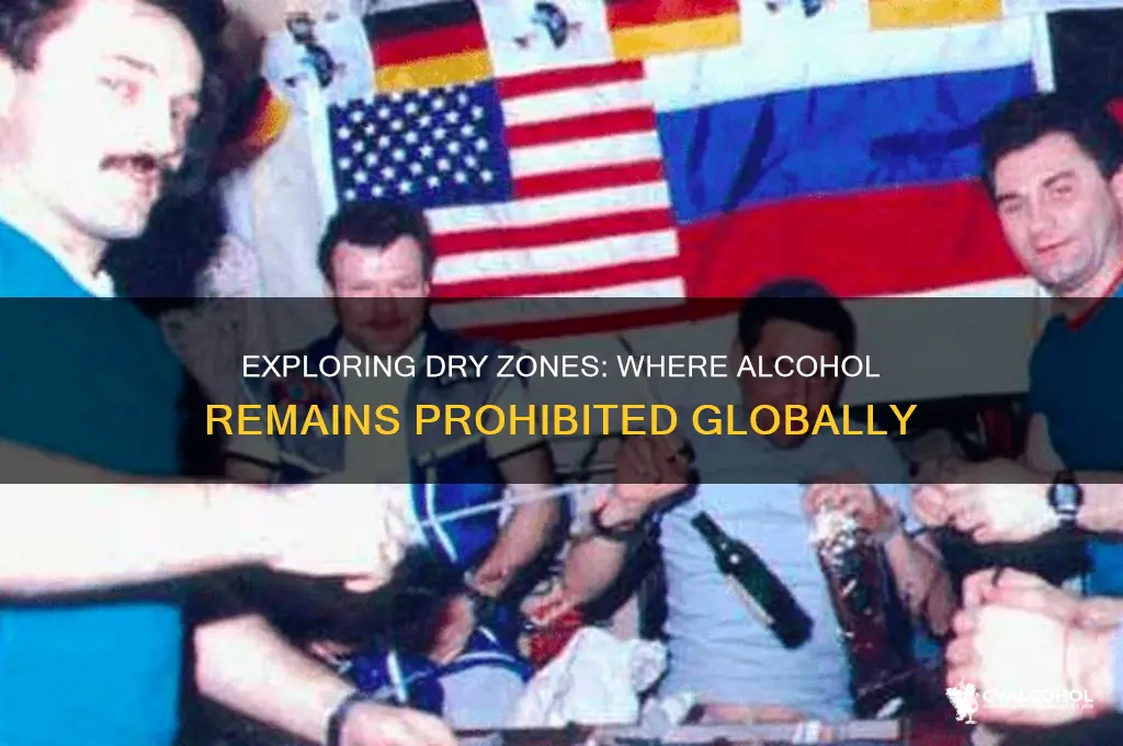 Exploring Dry Zones: Where Alcohol Remains Prohibited Globally | CyAlcohol