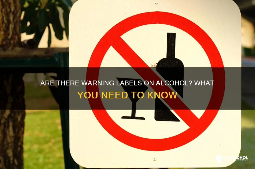 Are There Warning Labels On Alcohol? What You Need To Know | CyAlcohol