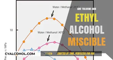 Do All Alcoholic Drinks Contain Sulfites? The Surprising Truth | CyAlcohol
