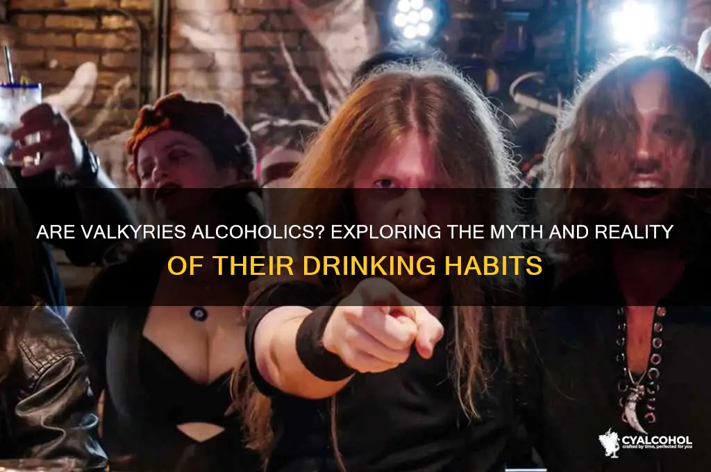 Are Valkyries Alcoholics? Exploring The Myth And Reality Of Their ...