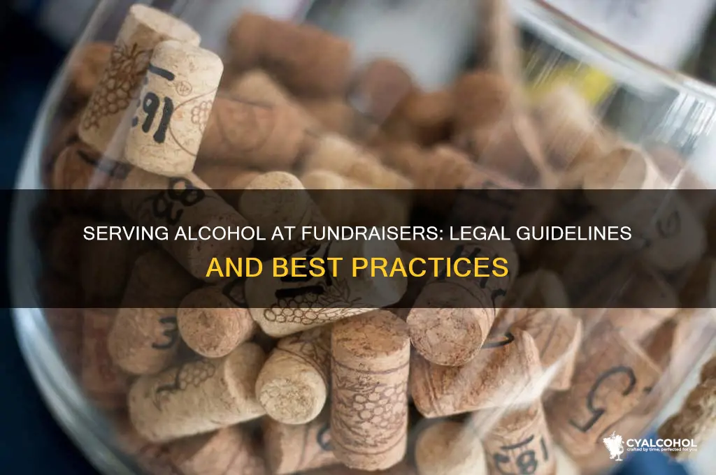 Serving Alcohol At Fundraisers: Legal Guidelines And Best Practices ...