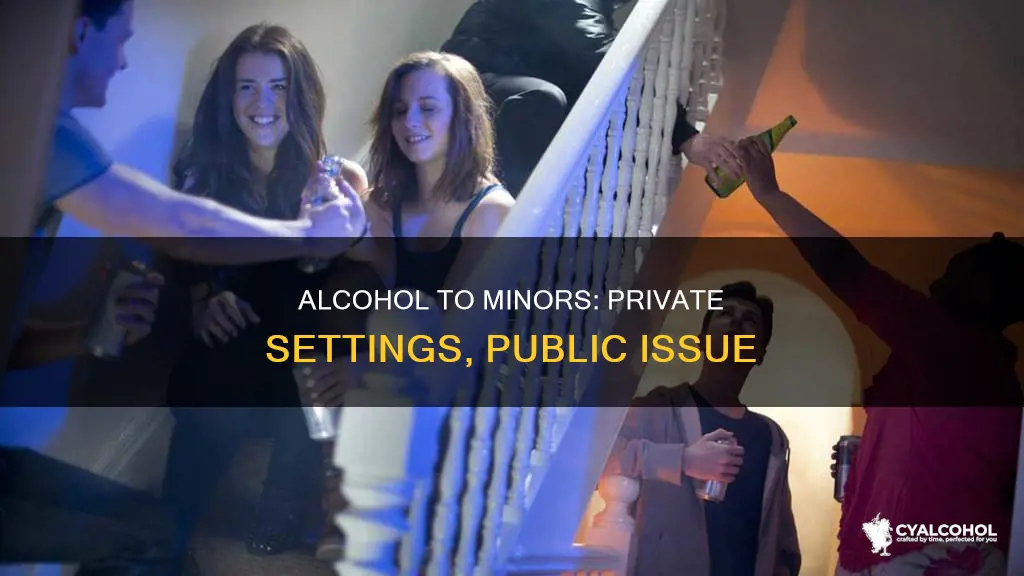 Alcohol To Minors: Private Settings, Public Issue | CyAlcohol