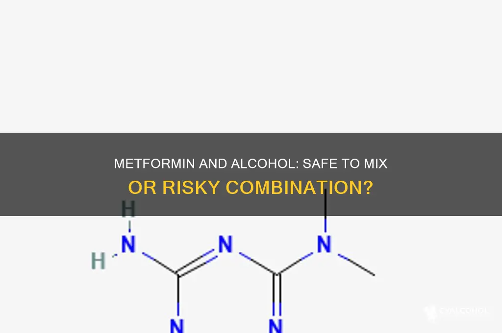 Metformin And Alcohol: Safe To Mix Or Risky Combination? | CyAlcohol