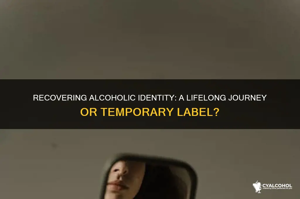 Recovering Alcoholic Identity: A Lifelong Journey Or Temporary Label ...