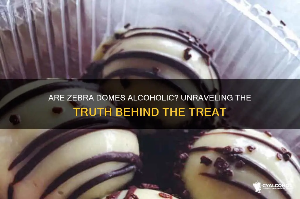 Are Zebra Domes Alcoholic? Unraveling The Truth Behind The Treat ...